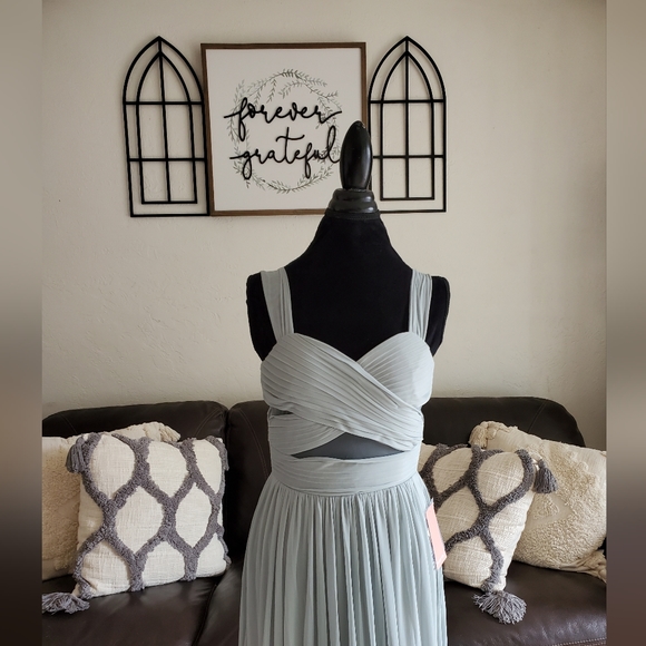 Birdy Grey | Dresses | Birdy Grey Nwt Elsye Maxi Dress In Mesh Sage ...